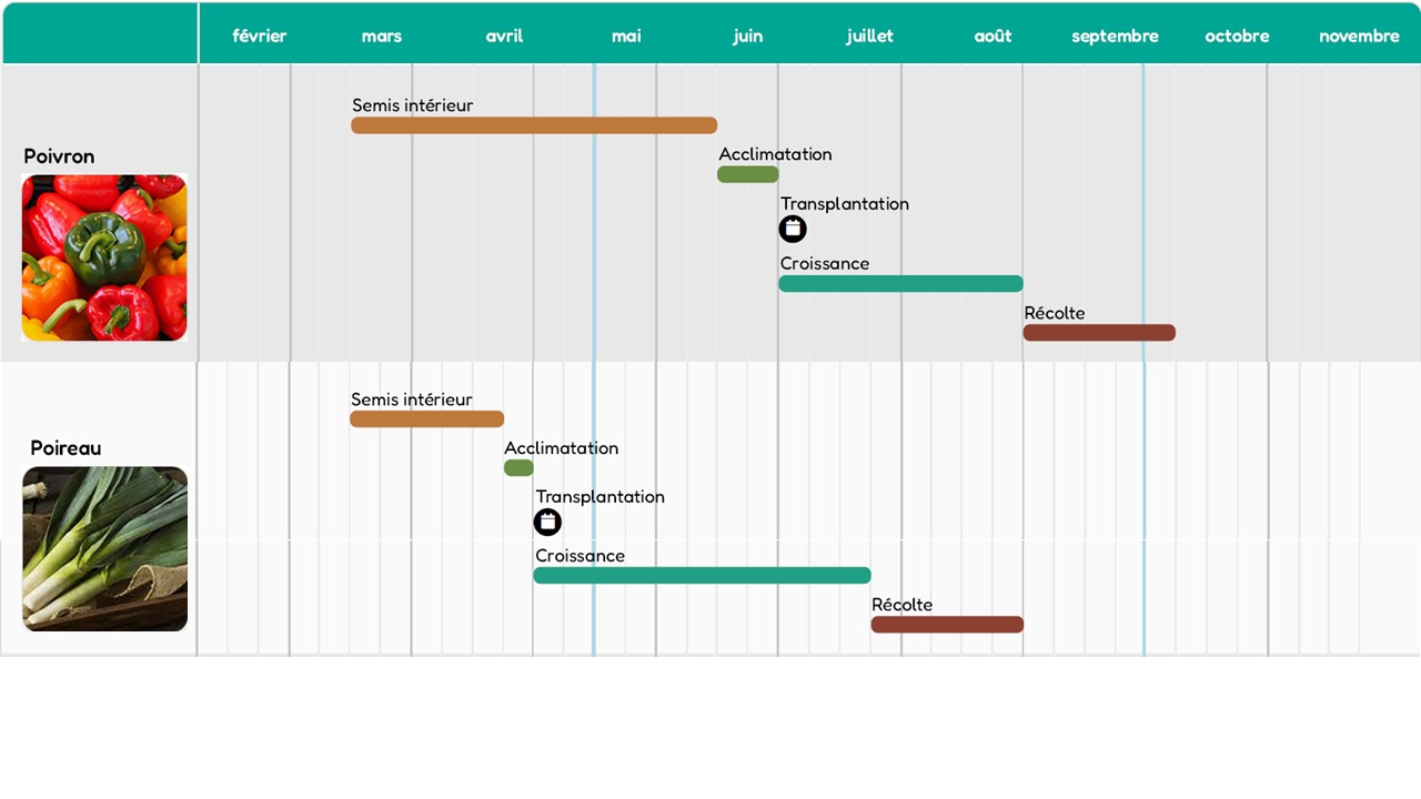 FIG-MA-Image calendrier cultural